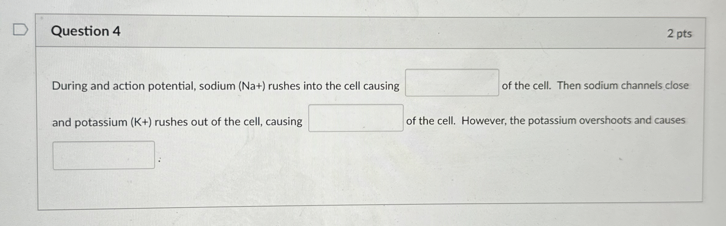 Solved Question 4During and action potential, sodium ) | Chegg.com
