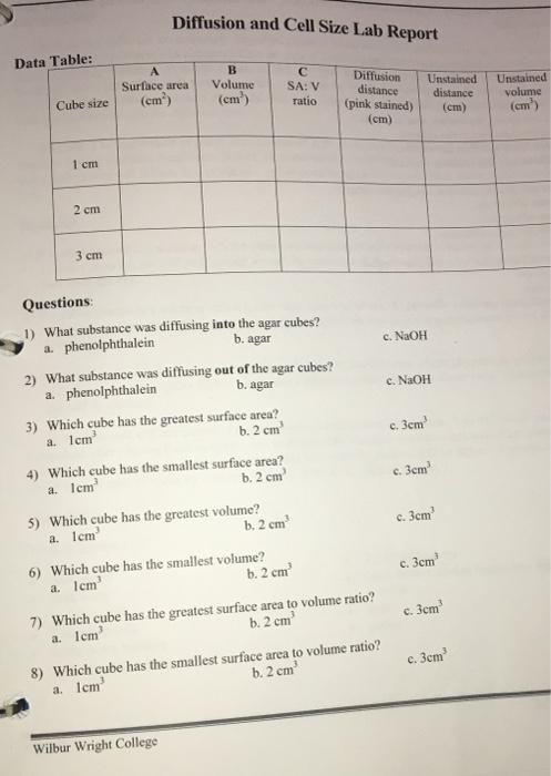 Diffusion and Cell Size Lab Report Data Table: A | Chegg.com