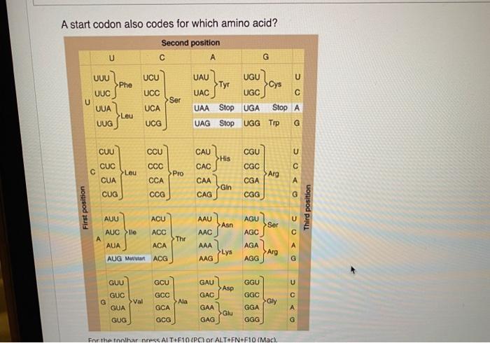 Solved A start codon also codes for which amino acid? | Chegg.com