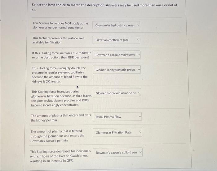 Solved Select the best choice to match the description. | Chegg.com