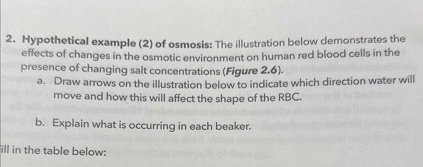 Solved Hypothetical example (2) ﻿of osmosis: The | Chegg.com