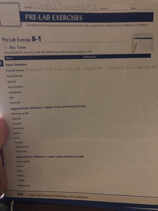 Solved ofaDemingurz Name Date Section PRE-LAB EXERCISES | Chegg.com
