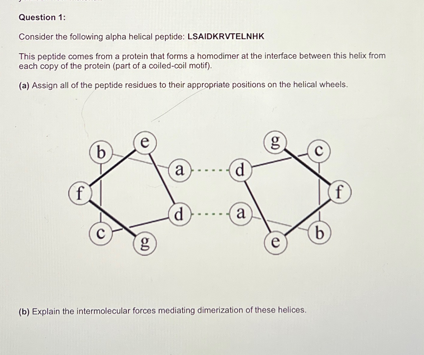 Solved Question 1:Consider the following alpha helical | Chegg.com