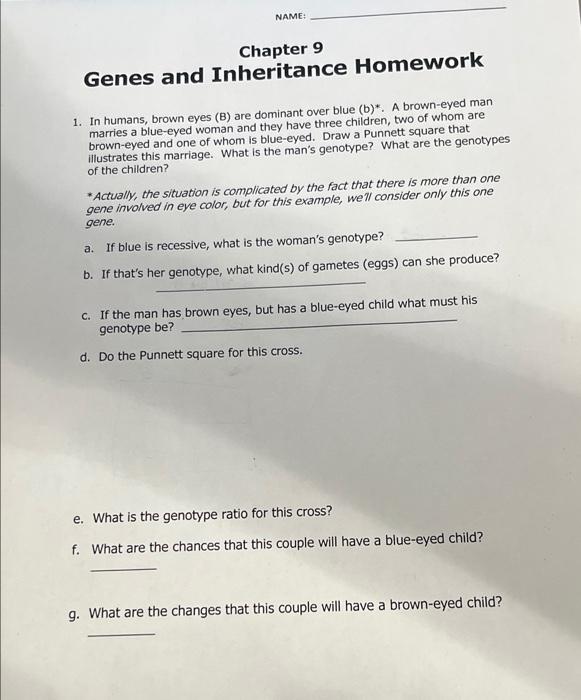 Solved NAME: Chapter 9 Genes and Inheritance Homework 1. In | Chegg.com