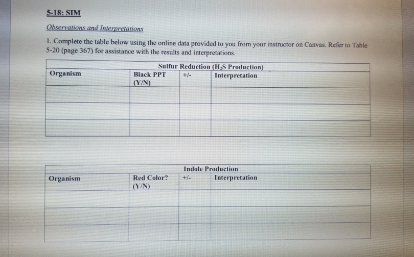 Solved 5-18: SIM Observations and Interpretations 1. | Chegg.com