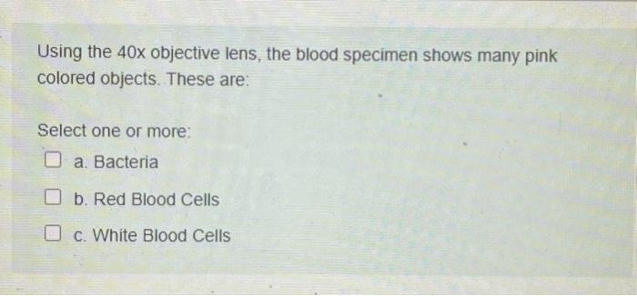 Solved Using the 40x objective lens, the blood specimen | Chegg.com