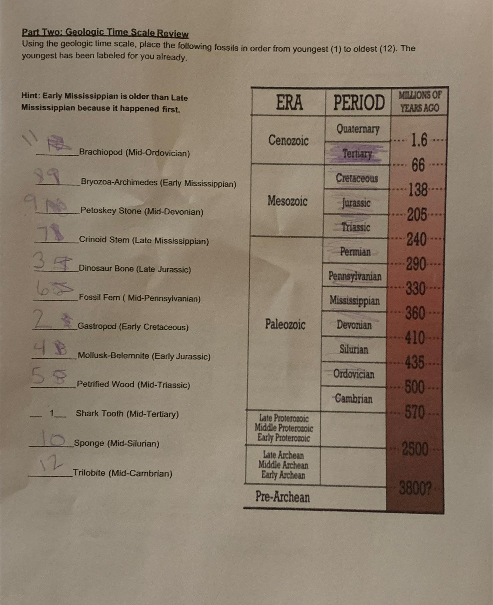 Solved Part Two: Geologic Time Scale ReviewUsing the | Chegg.com