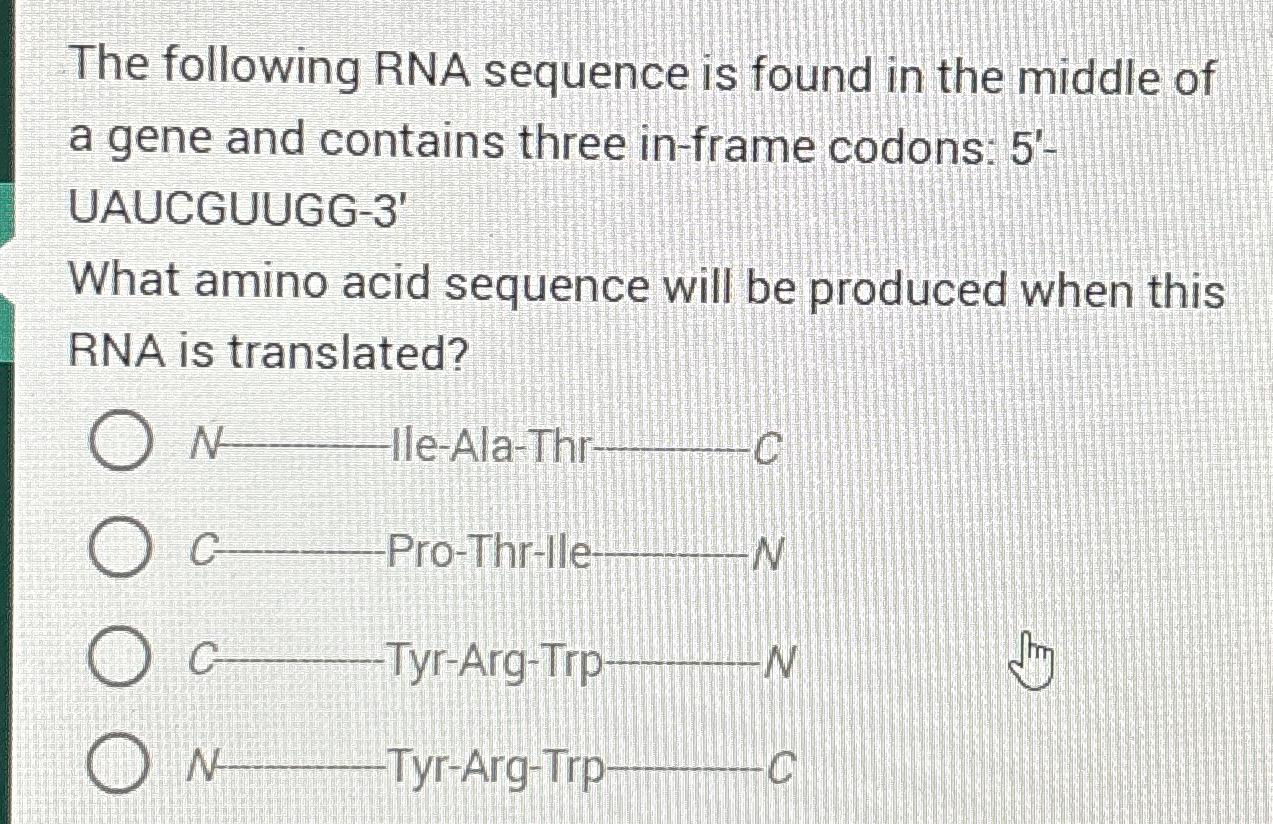Solved The following RNA sequence is found in the middle of | Chegg.com