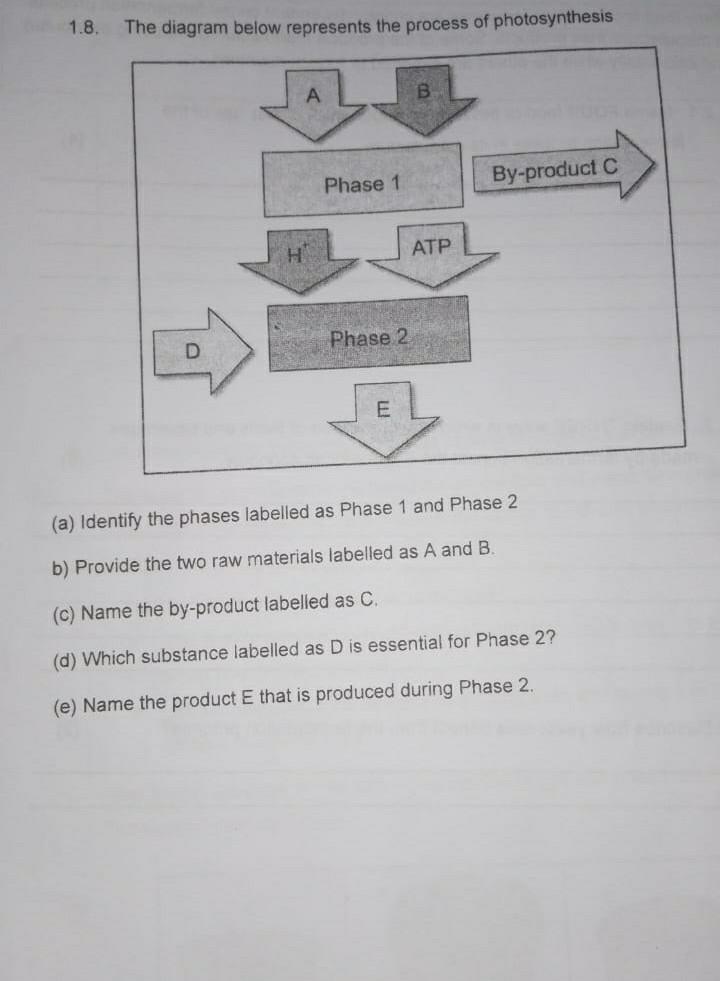 Solved 1.8. The diagram below represents the process of | Chegg.com