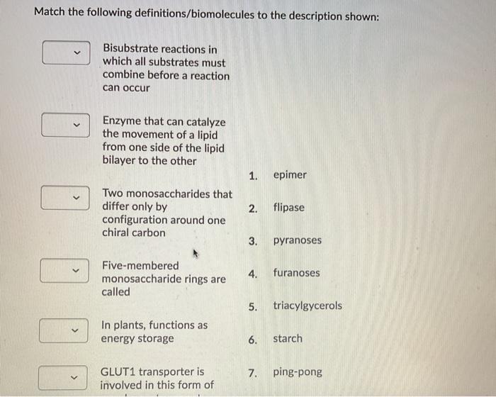 Solved Match the following definitions/biomolecules to the | Chegg.com