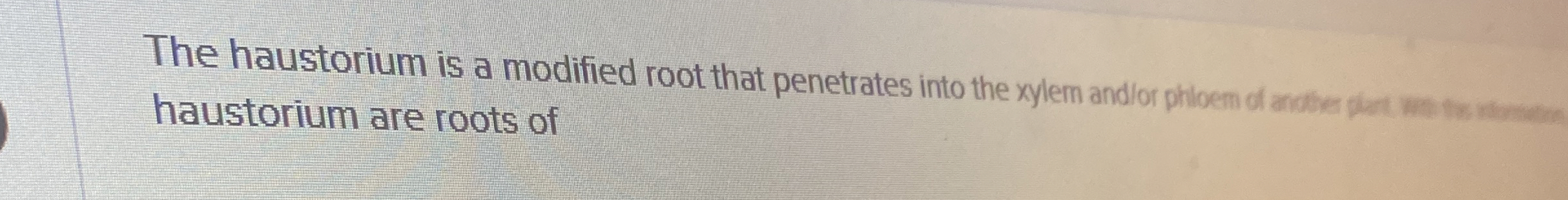 Solved The haustorium is a modified root that penetrates | Chegg.com