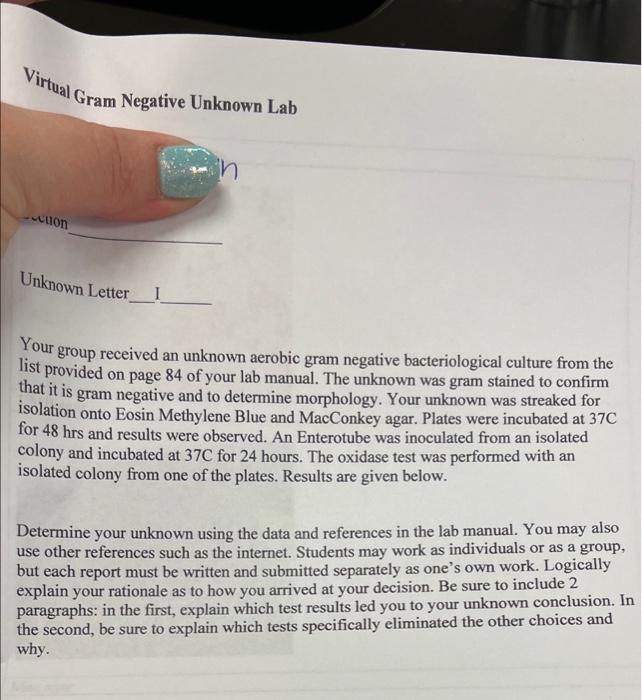 Solved Virtual Gram Negative Unknown Lab cuon Unknown Letter | Chegg.com Solved Virtual Gram Negative Unknown Lab cuon Unknown Letter | Chegg.com