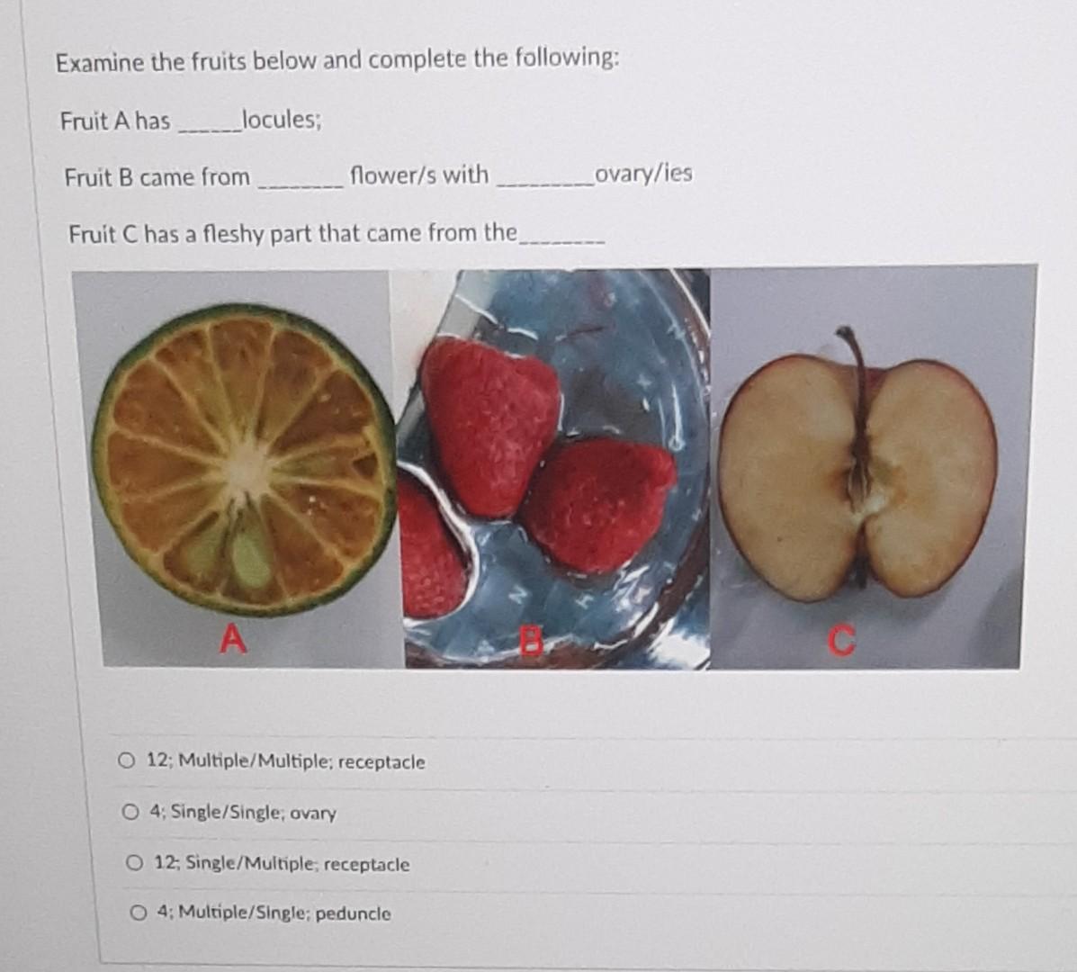 Solved Examine the fruits below and complete the following: | Chegg.com