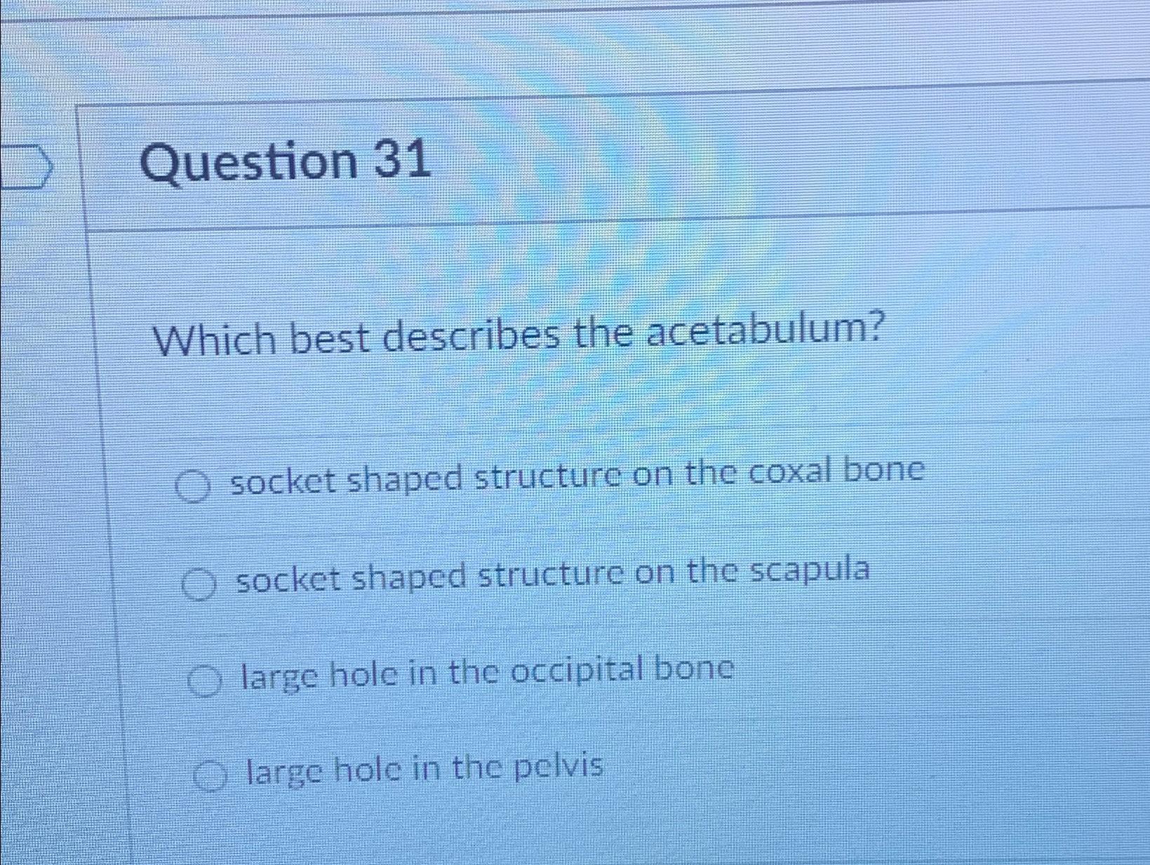 Solved Question 31Which best describes the acetabulum?socket | Chegg.com