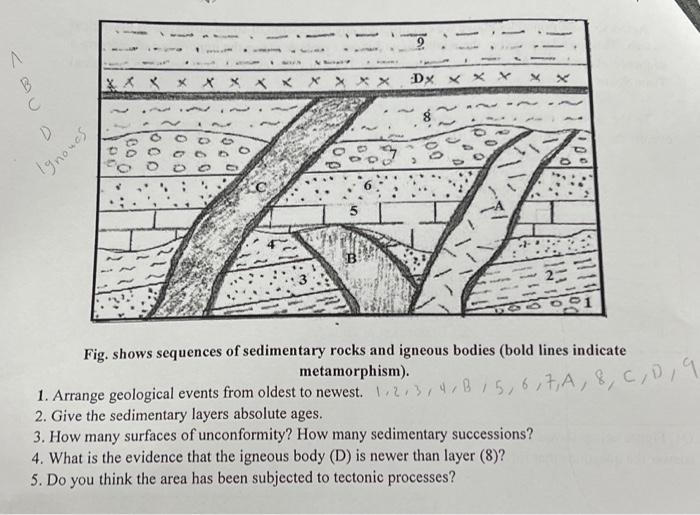 Solved Fig. shows sequences of sedimentary rocks and igneous | Chegg.com