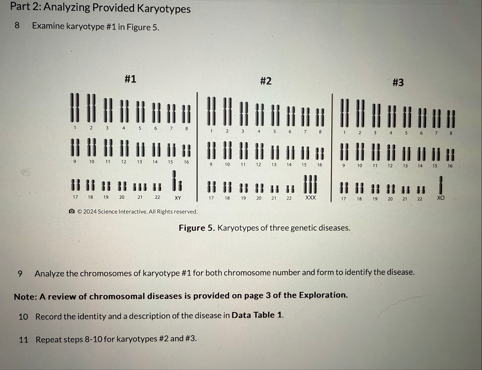 Part 2: Analyzing Provided Karyotypes8 ﻿Examine | Chegg.com