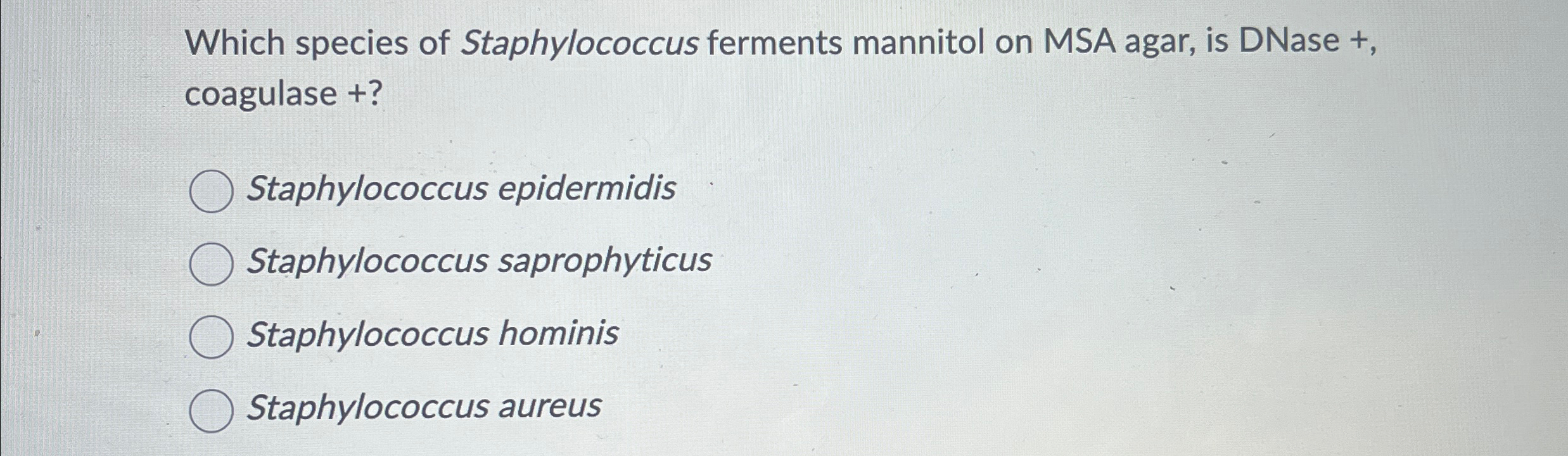 Solved Which species of Staphylococcus ferments mannitol on | Chegg.com