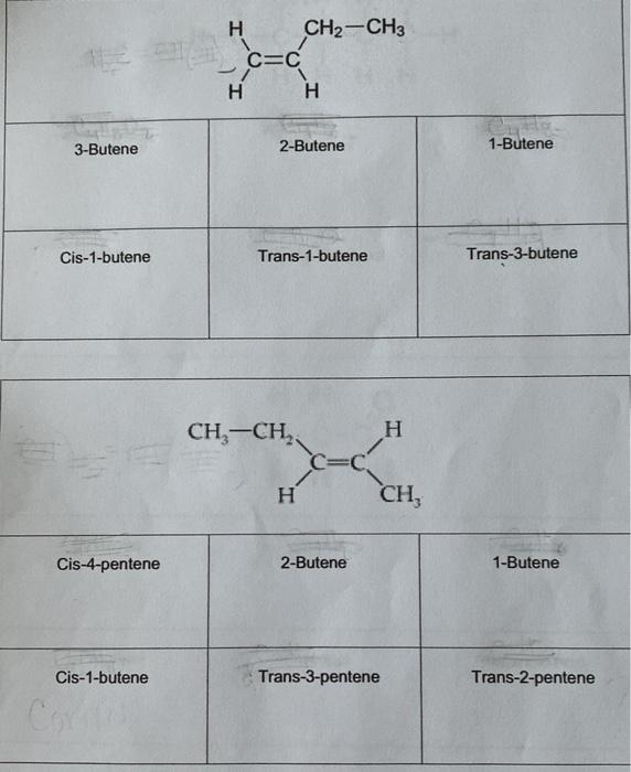 Solved 1. Indicate Correct for the correct name for each | Chegg.com