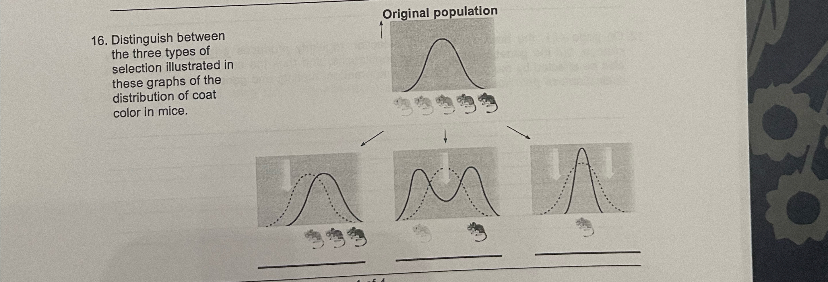 Solved Original population16. ﻿Distinguish between the three | Chegg.com