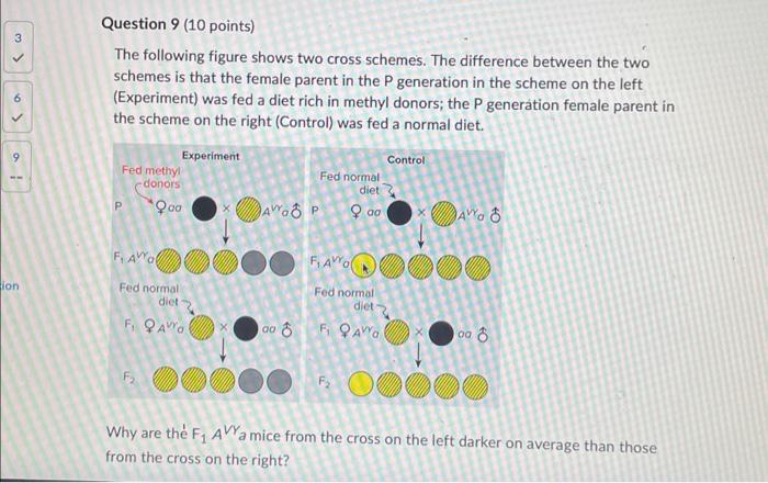 Solved Question 9 (10 points) The following figure shows two | Chegg.com
