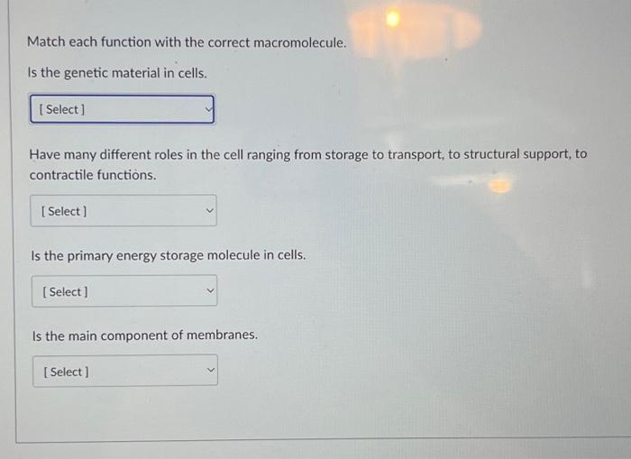 Solved Match each function with the correct macromolecule. | Chegg.com