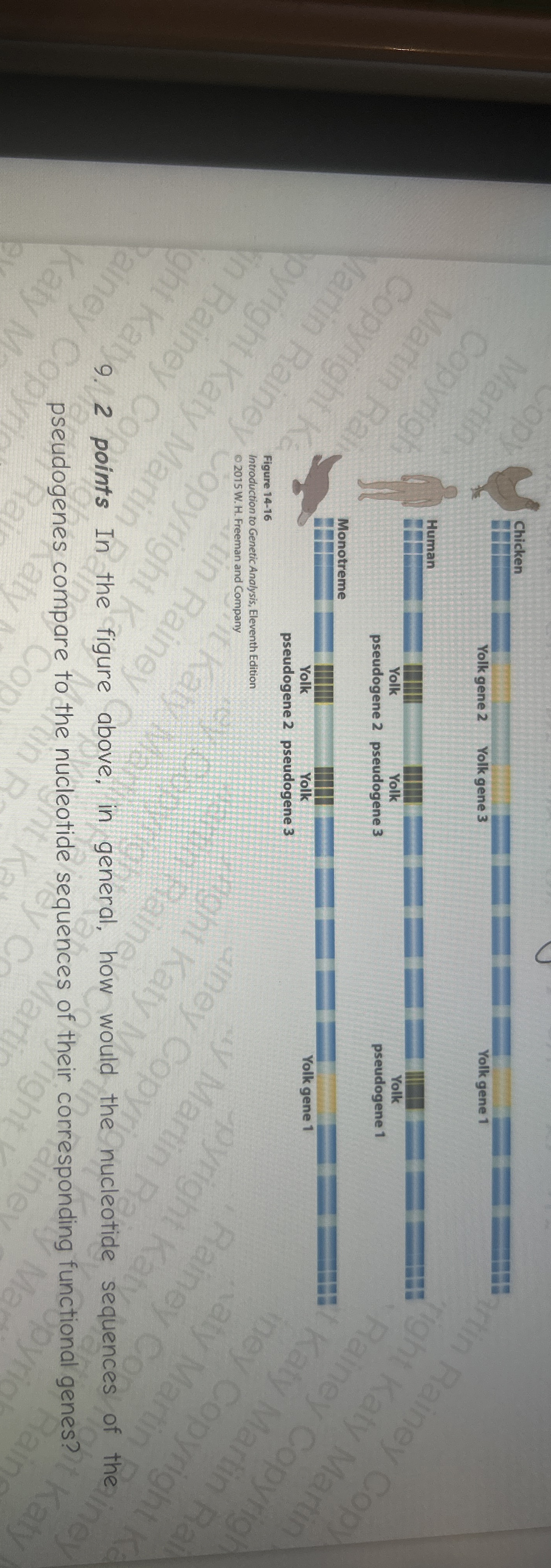 Solved 9. 2 ﻿points In the figure above, in general, how | Chegg.com