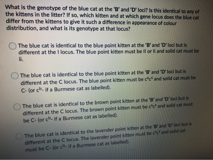 Solved What is the genotype of the blue cat at the 'B' and | Chegg.com