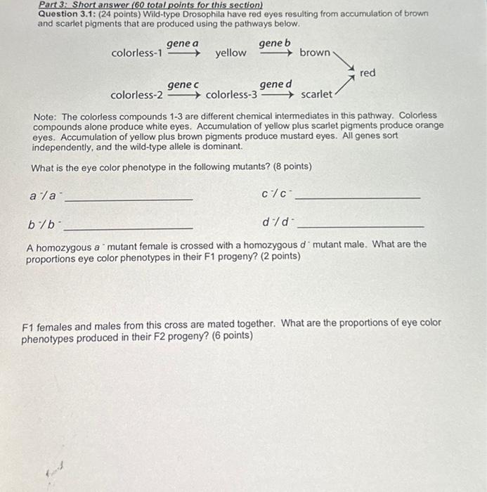 Solved Part 3: Short answer (60 total points for this | Chegg.com