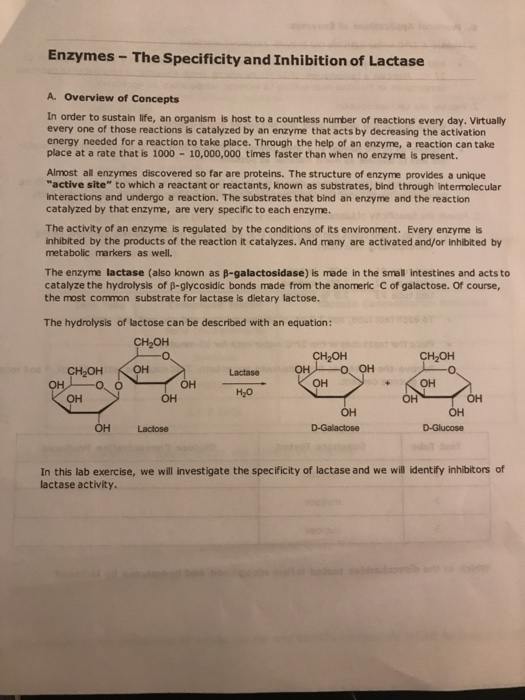 B. Practical Applications of Enzymes 1. Prepare a | Chegg.com