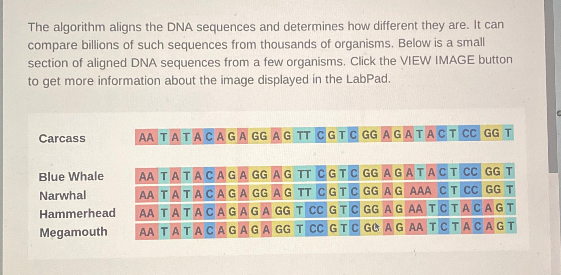 Solved The algorithm aligns the DNA sequences and determines | Chegg.com