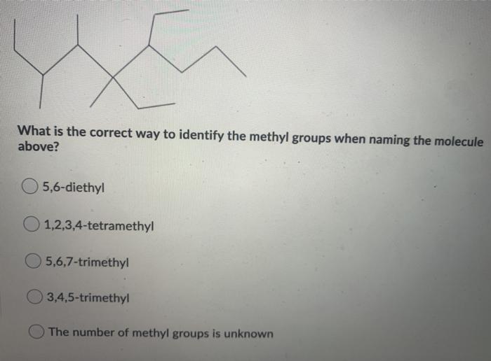 Solved What is the correct way to identify the methyl groups | Chegg.com