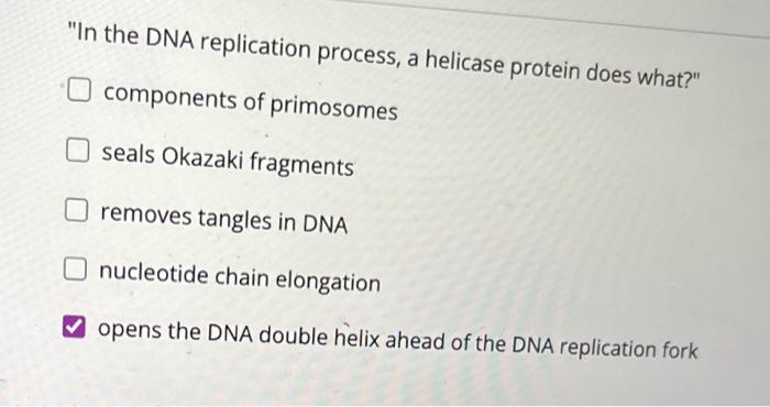 Solved "In the DNA replication process, a helicase protein | Chegg.com