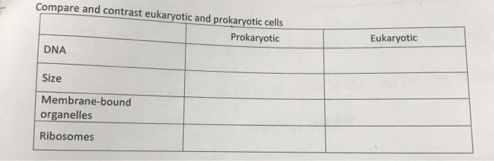Solved Compare and contrast eukaryotic and prokaryotic cells | Chegg.com