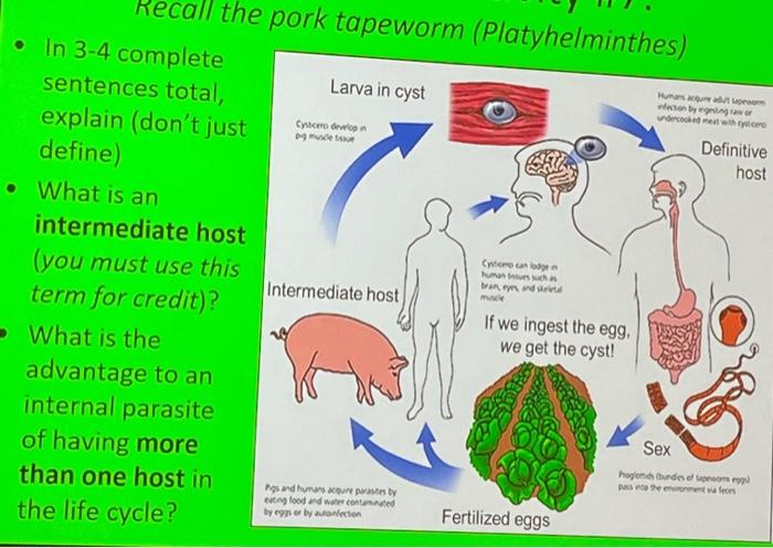 In 3-4 sentences explain what is an intermediate host | Chegg.com