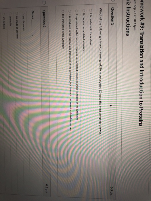 Solved mework #9: Translation and Introduction to Proteins | Chegg.com