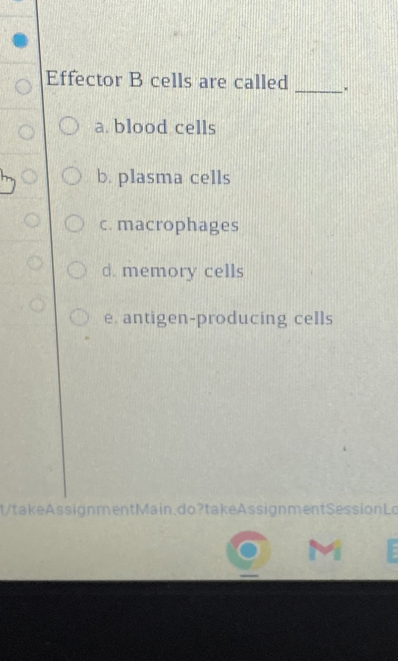 Solved Effector B cells are calleda. ﻿blood cellsb. ﻿plasma | Chegg.com