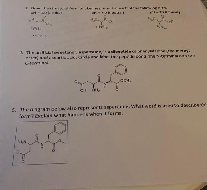 3. Draw the structural form of alanine present at | Chegg.com