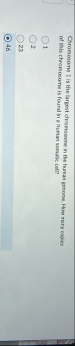 Solved Chromosome 1 ﻿is the largest chromosome in the human | Chegg.com