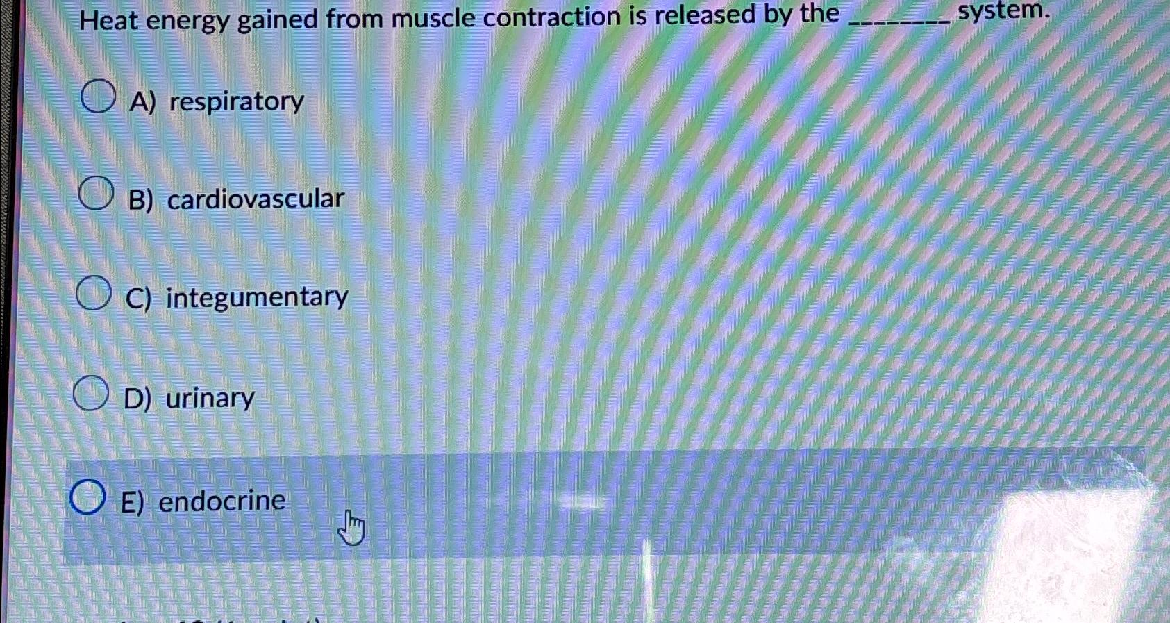 Solved Heat energy gained from muscle contraction is | Chegg.com
