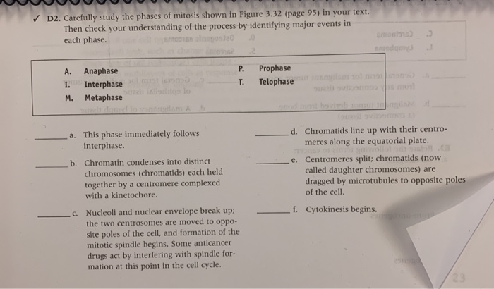 Solved * Match the nonnenbranous organelles in the box with | Chegg.com