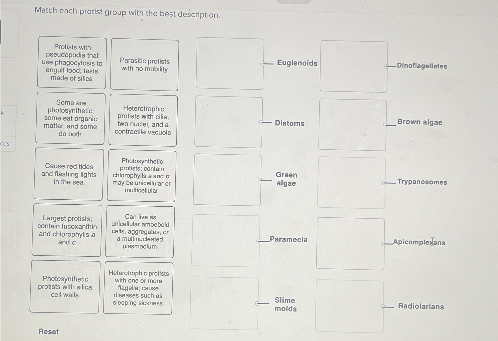 Solved Match each protist group with the best | Chegg.com