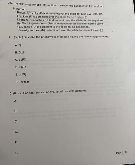 Solved Use the following genetic information to answer the | Chegg.com