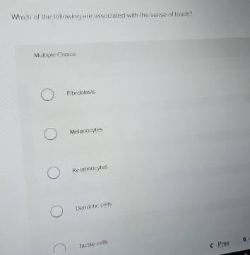Solved Which of the following are associated with the sense | Chegg.com