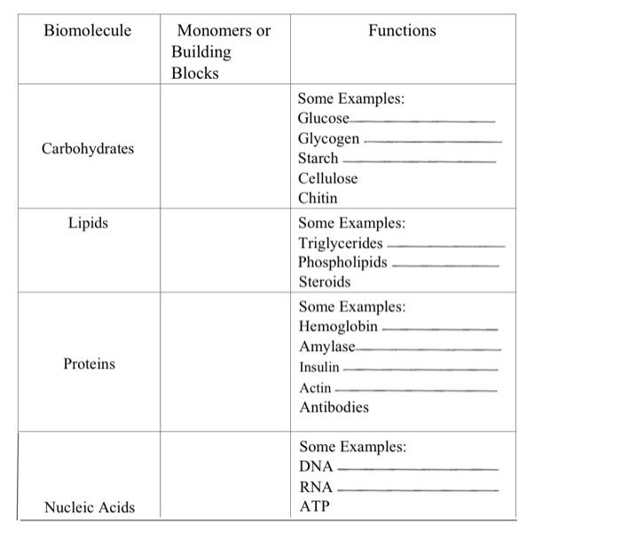 Solved \begin{tabular}{|c|l|l|} \hline Biomolecule & | Chegg.com