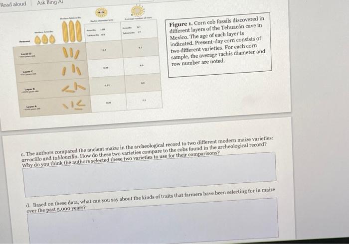Solved 7. To demonstrate how two different genes can explain | Chegg.com