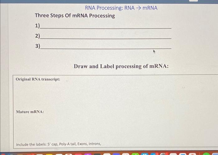 Solved RNA Processing: RNA → mRNA Three Steps Of mRNA | Chegg.com