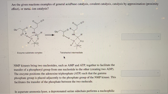 Solved Are the given reactions examples of general acid/base | Chegg.com