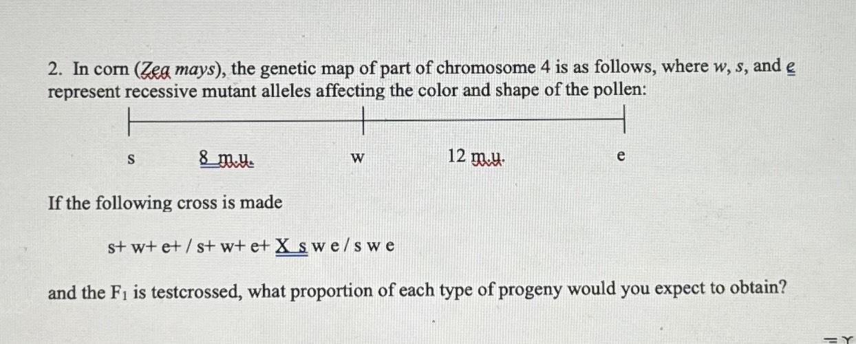 Solved In corn (Zea mays), ﻿the genetic map of part of | Chegg.com