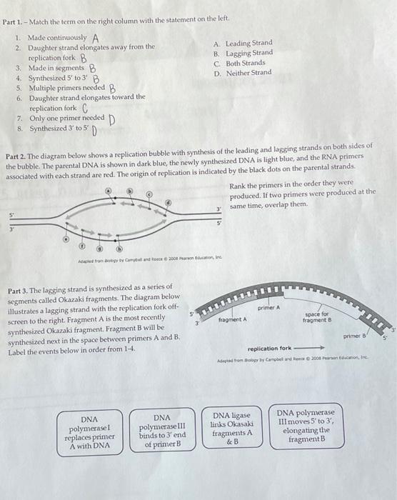 Solved Part 1. - Match the term on the right column with the | Chegg.com