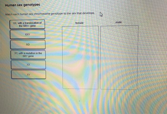 Solved Drag and drop each item to the correct method of | Chegg.com